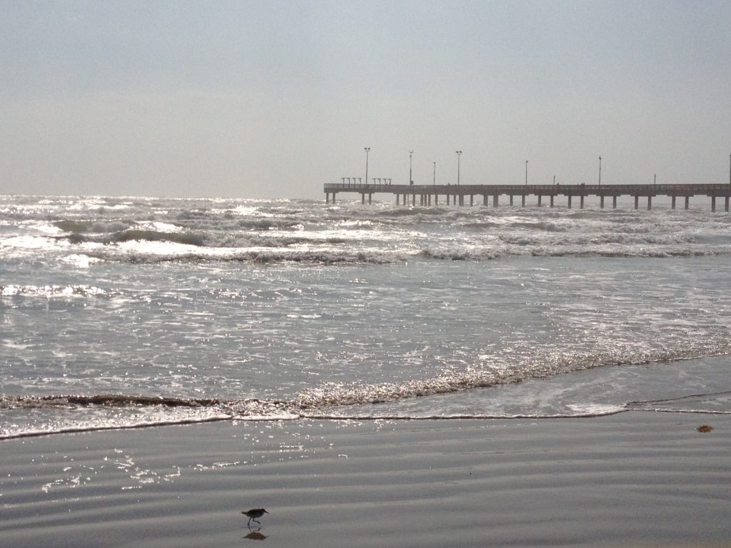 About Us • Port Aransas TX: Beaches & Bay